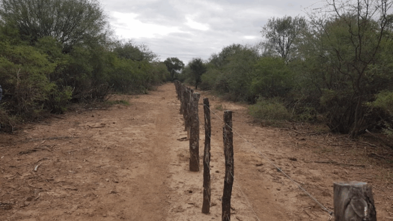 Picadas perimetrales para evitar incendios: cómo funcionan y cuándo ...